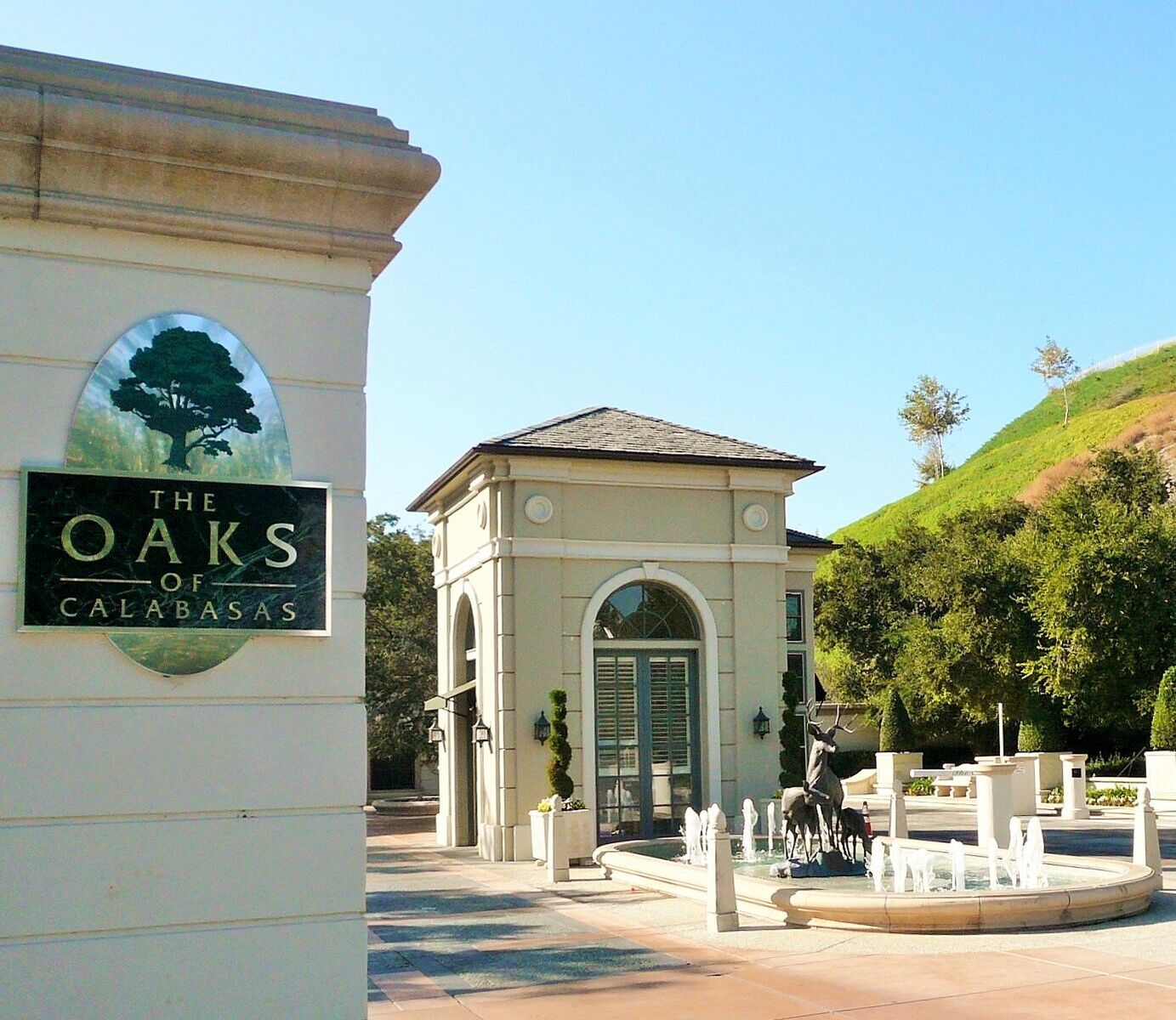 Calabasas - Carol Wolfe